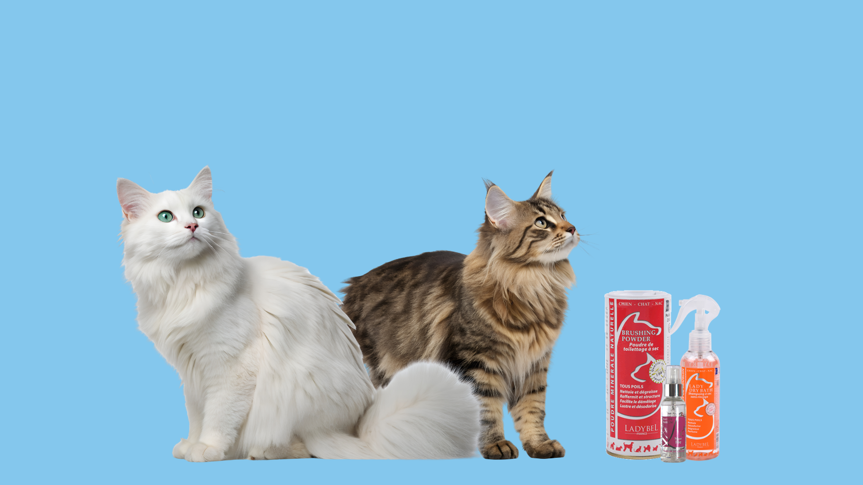 Carbonel Couture | Premium Cat Grooming Products in Australia